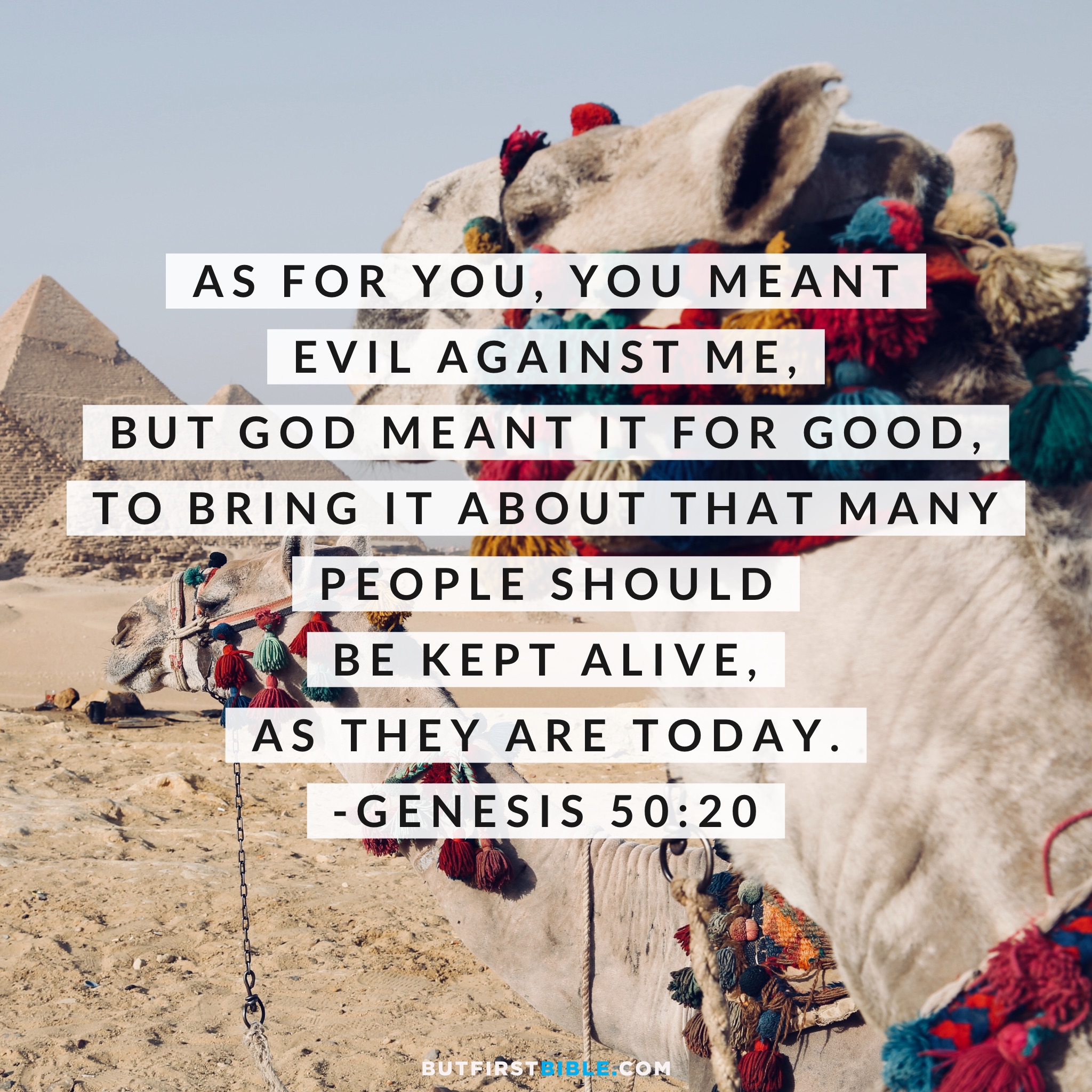 Jan 21 – Genesis 49-50; Matthew 15:1-21 – GOD MEANT IT FOR GOOD ...